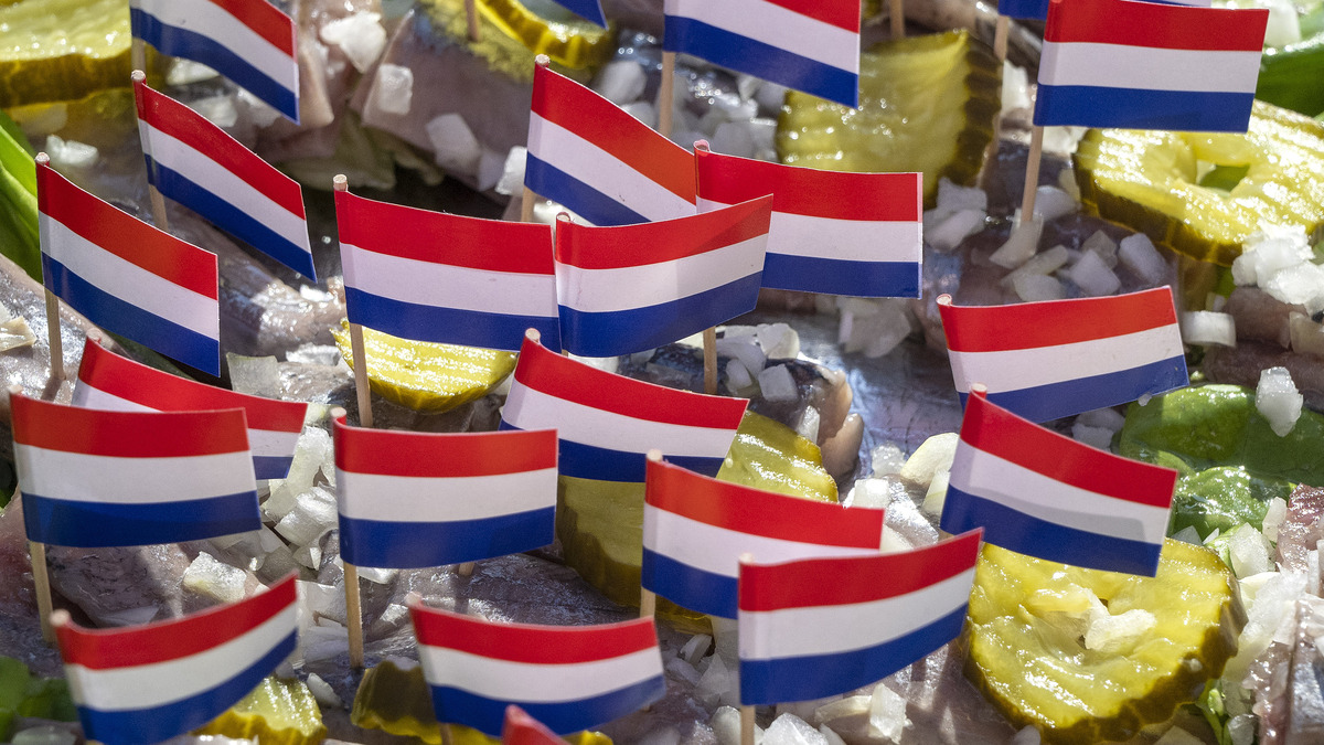 Opbrengst eerste haringvaatje naar jongeren en gezonder leven ...